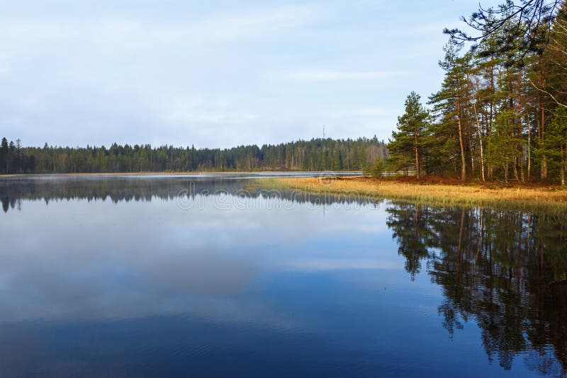 Calm Water in a Forest Lake Stock Photo - Image of mist, scenery: 213701902