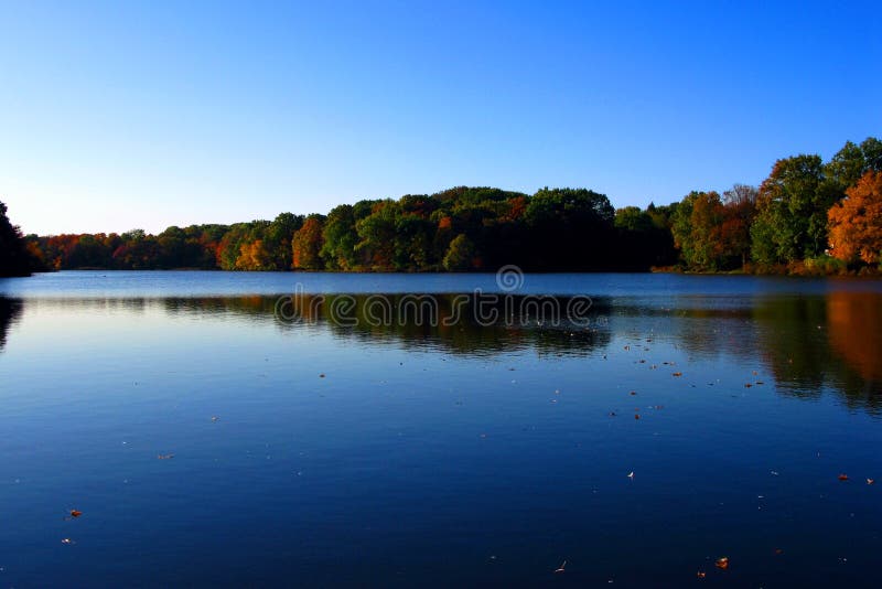 Calm Water Lake and Trees in Early Fall Stock Image - Image of foliage ...
