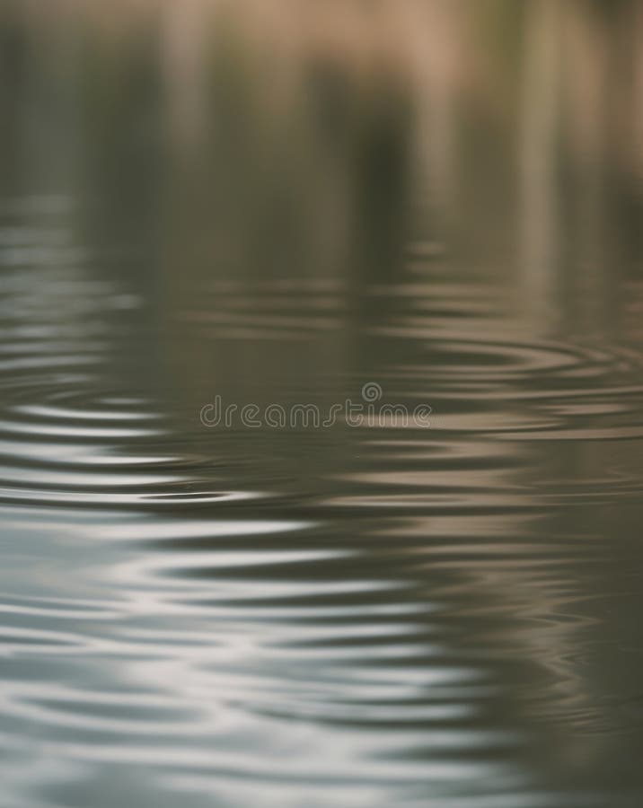 Calm Water Ripple Reflection in Nature Scene. Stock Photo - Image of ...