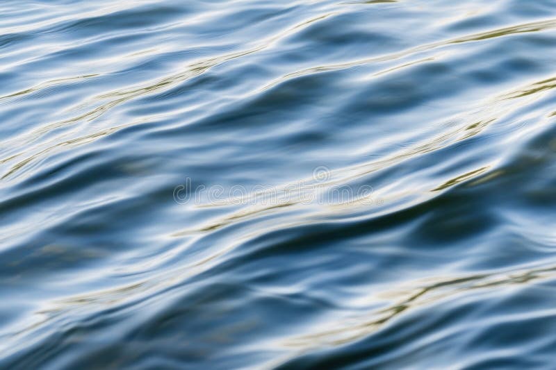 Calm Water Ripples with Sunlight Reflections - Peaceful Nature ...