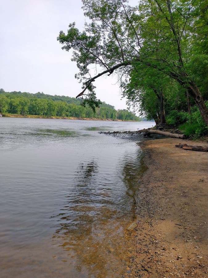 Calm Water by the River Edge Stock Image - Image of wetland, tree ...