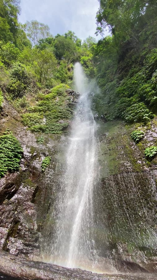 A Calm Waterfall Flows Down a Rocky Cliff in a Cool, Quiet Forest ...