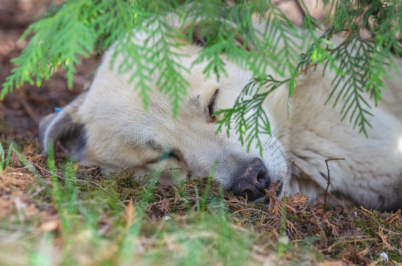 Young Bbs Stock Photos - Free & Royalty-Free Stock Photos from Dreamstime