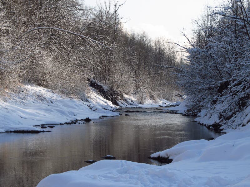 Calm winter stock image. Image of flowing, outdoor, branch - 48631959