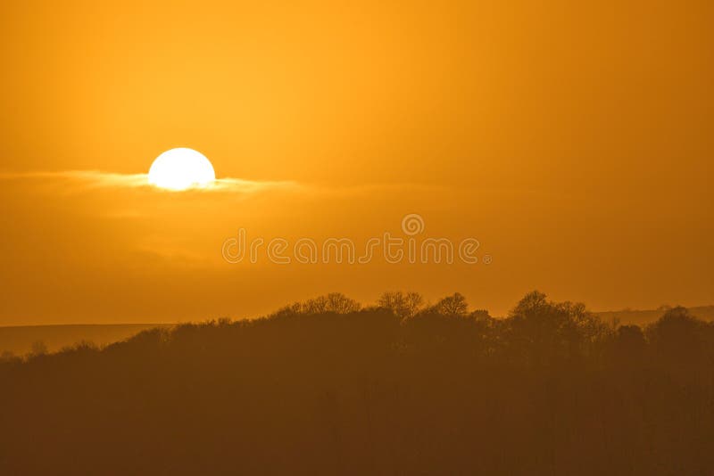 Calm Yellow Sunset Over the Silhouette of a Forest Stock Image - Image ...