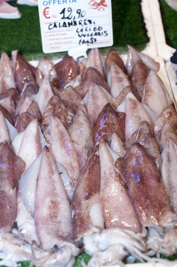 Calmar Frais Sur La Poissonnerie Photo stock - Image du marché ...