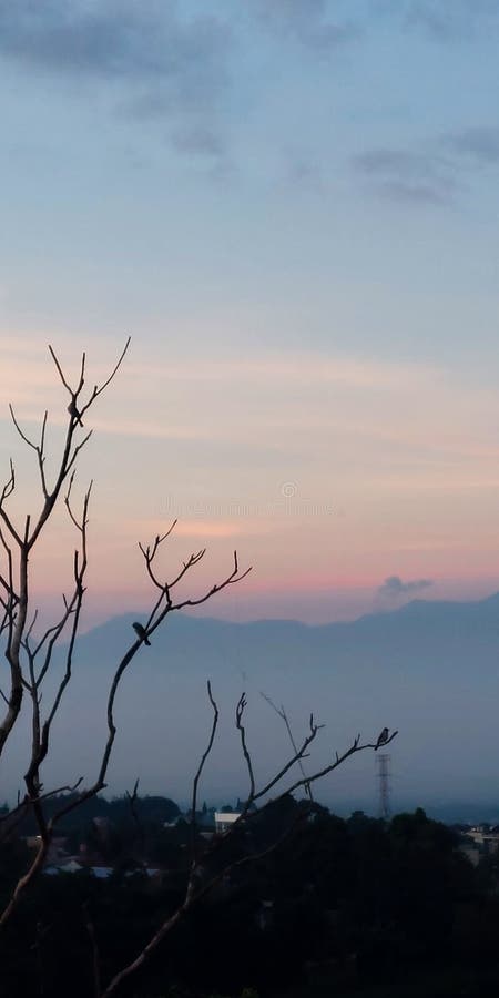 Calming Beautiful Morning View Stock Photo - Image of nature, horizon ...