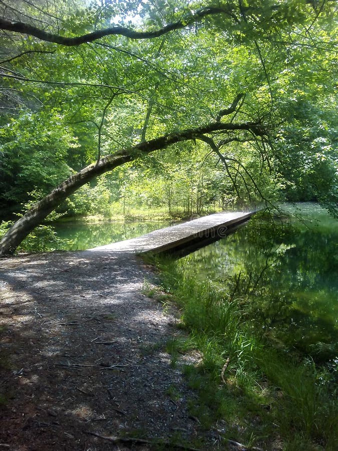 Calming bridge stock image. Image of water, bridge, tree - 149485687