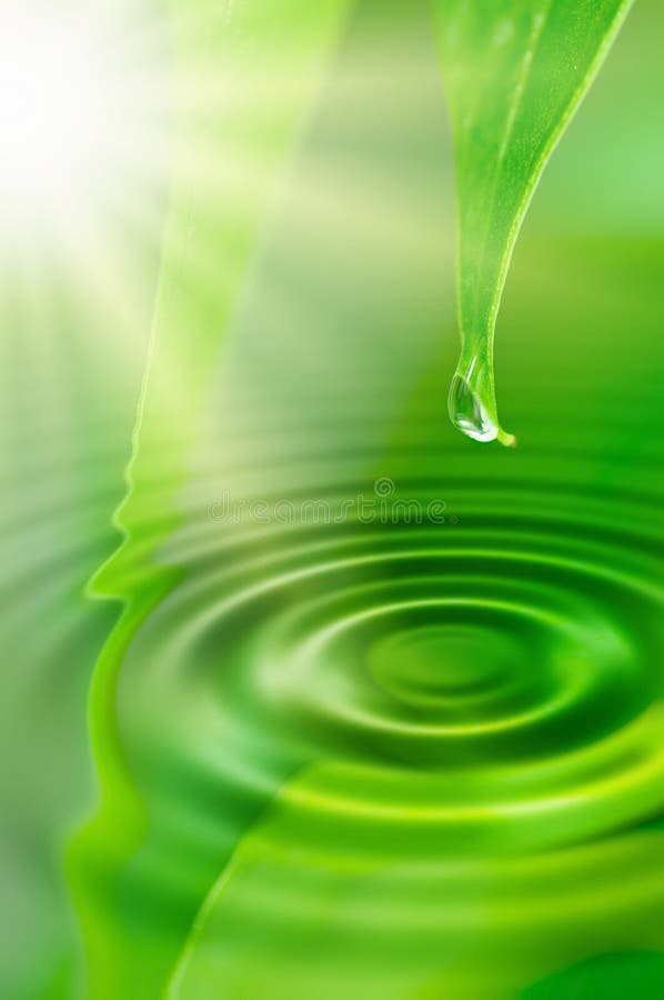 Calming environment stock image. Image of calming, green - 6622329