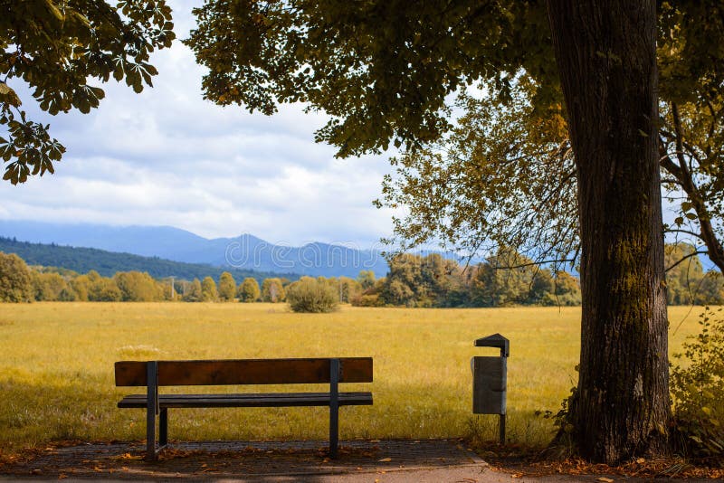 Calming Landscape of a Bench Under the Tree Stock Image - Image of lake ...