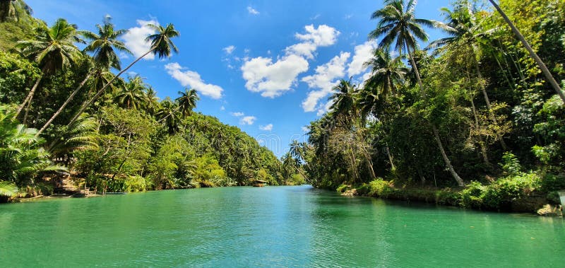 Calming River View stock photo. Image of nature, river - 187690742