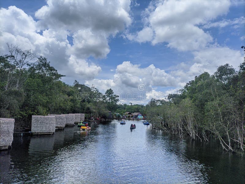 Calming sight stock photo. Image of tree, landscape - 281522766