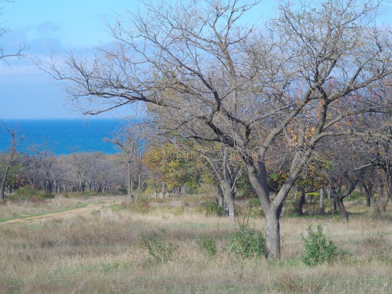 Calming spring landscape stock image. Image of background - 271678015