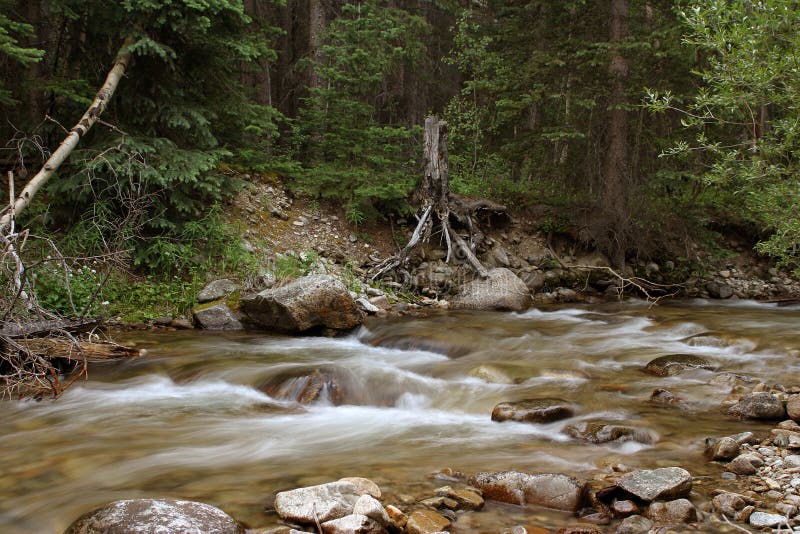 The calming stream stock image. Image of rocky, creek, trail - 567863