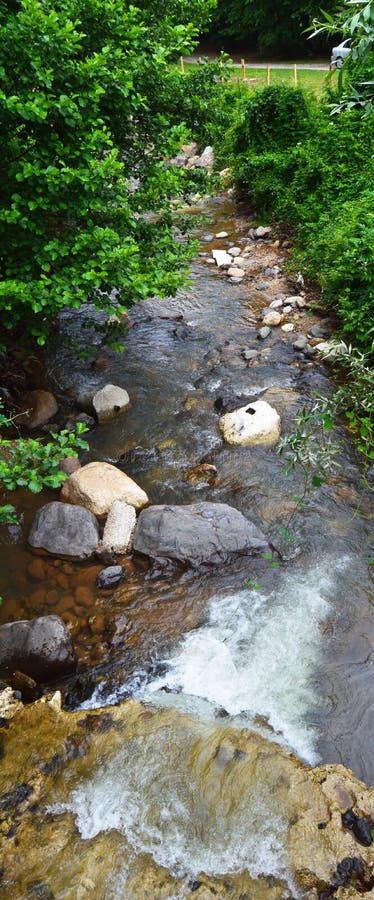 Calmly Flowing, Clean and Crystal Clear River Stock Image - Image of ...