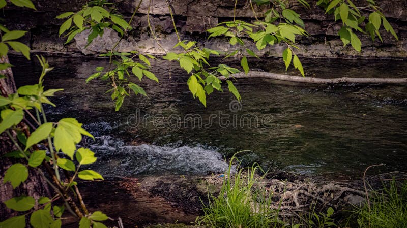 Calmly Flowing River Captured from Behind Thin Tree Branches Stock ...