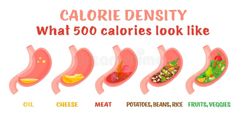 Calorie Density Chart Healthy Eating Concept Editable Vector