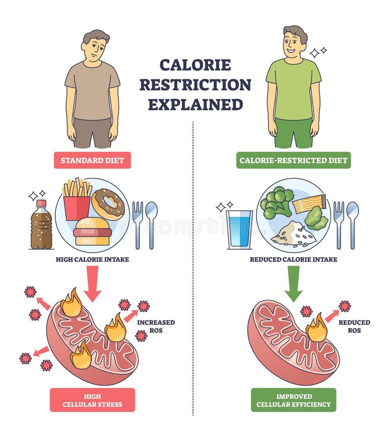 Calorie Stock Illustrations – 57,822 Calorie Stock Illustrations ...