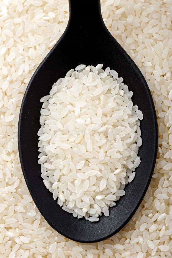 Calrose rice stock photo. Image of ingredient, calrose - 34386316