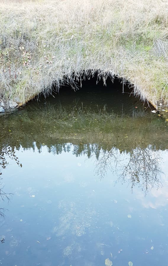 Calvert under a road stock photo. Image of water, calvert - 162011390