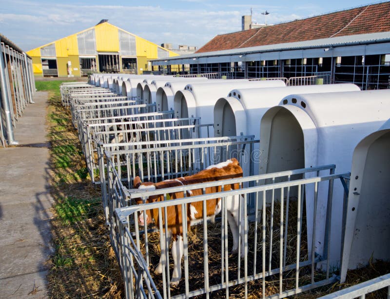 409 Open Cages Stock Photos - Free & Royalty-Free Stock Photos from ...