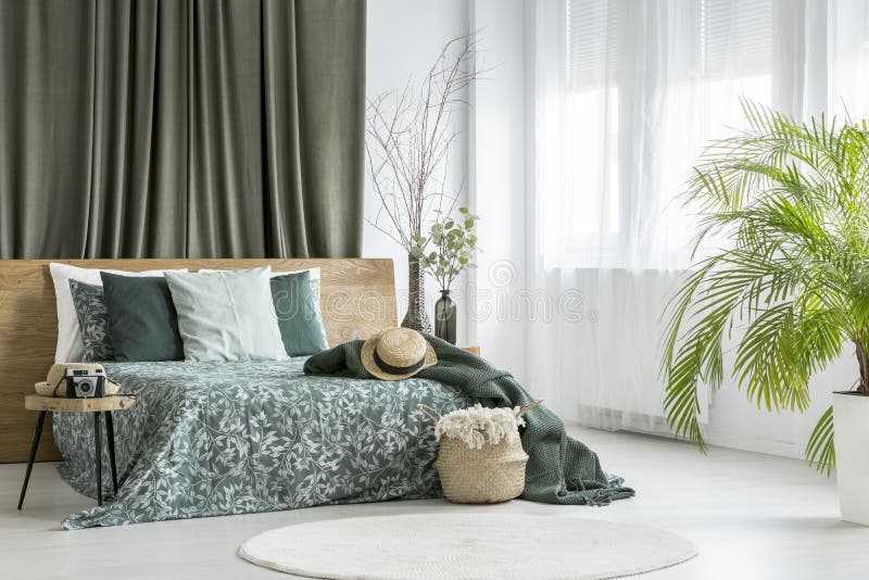 Cama King Size No Quarto Verde-oliva Foto de Stock - Imagem de ...