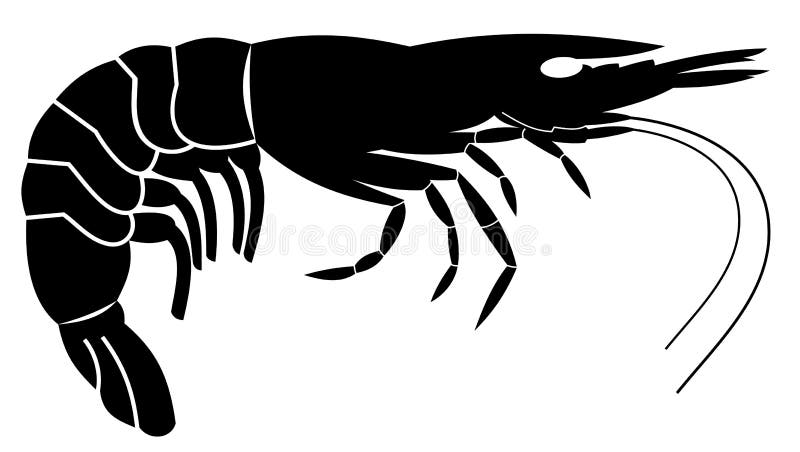 Camarón ilustración del vector. Ilustración de negro - 10436444