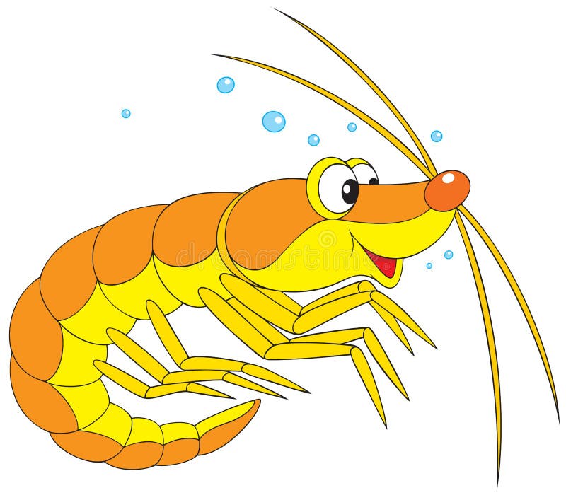 Krill Ilustraciones Stock, Vectores, Y Clipart – (1,398 Ilustraciones ...