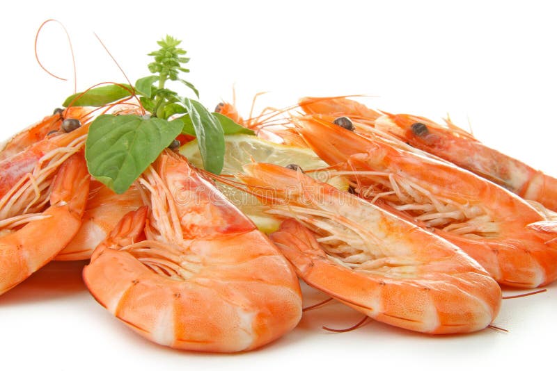 Camarón foto de archivo. Imagen de dieta, hervido, blanco - 15780292
