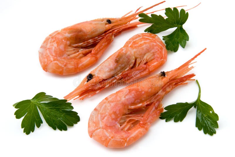 Camarón imagen de archivo. Imagen de frescura, fondos - 3931337