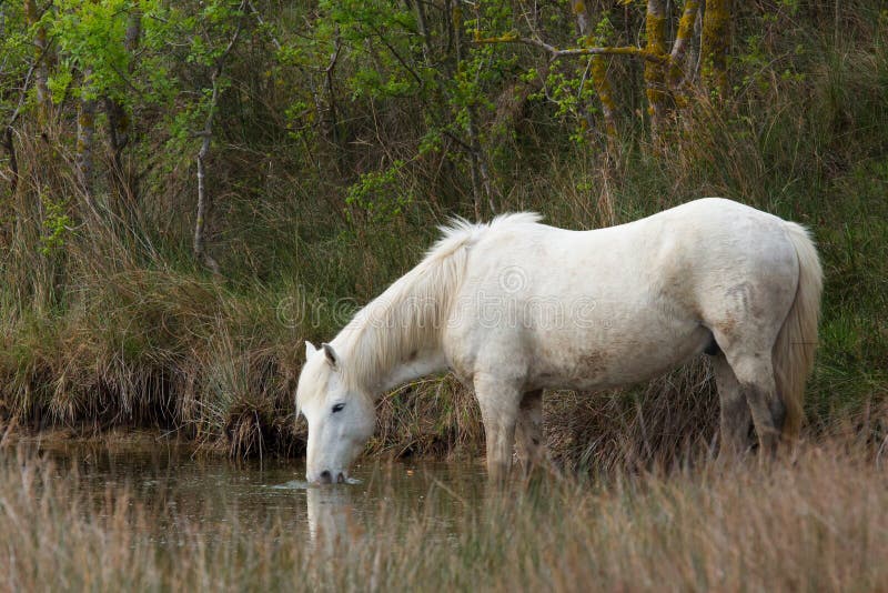 Running Moulds Stock Photos - Free & Royalty-Free Stock Photos from ...