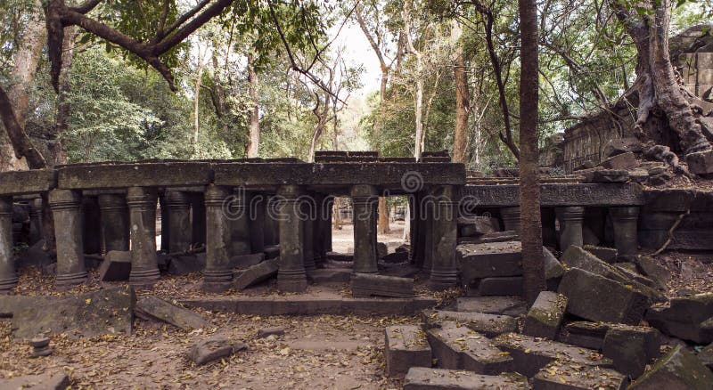 Labyrinth stock image. Image of convoluted, bush, centre - 834383