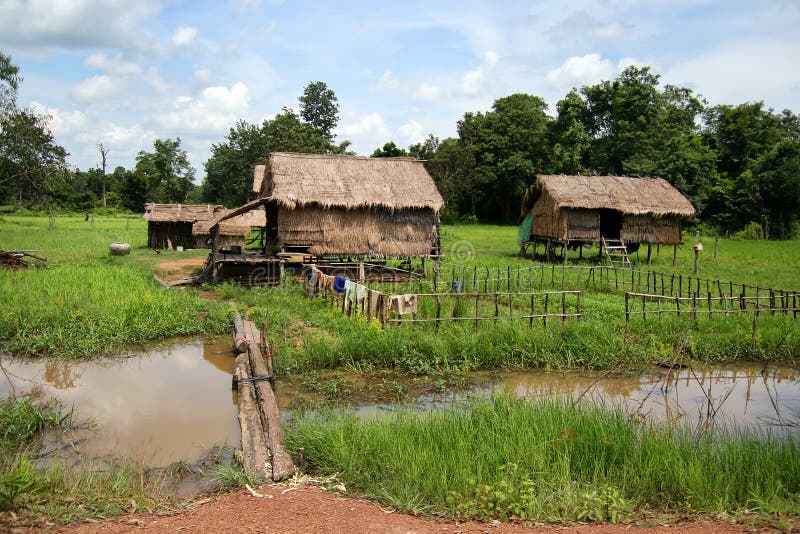Cambodia countryside stock image. Image of scenery, field - 42178593
