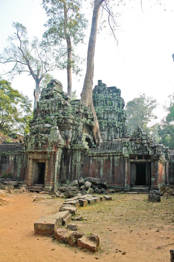 Cambodia, Siem Reap, January 22nd, 2014, Angkor - Ta Prohm Editorial ...