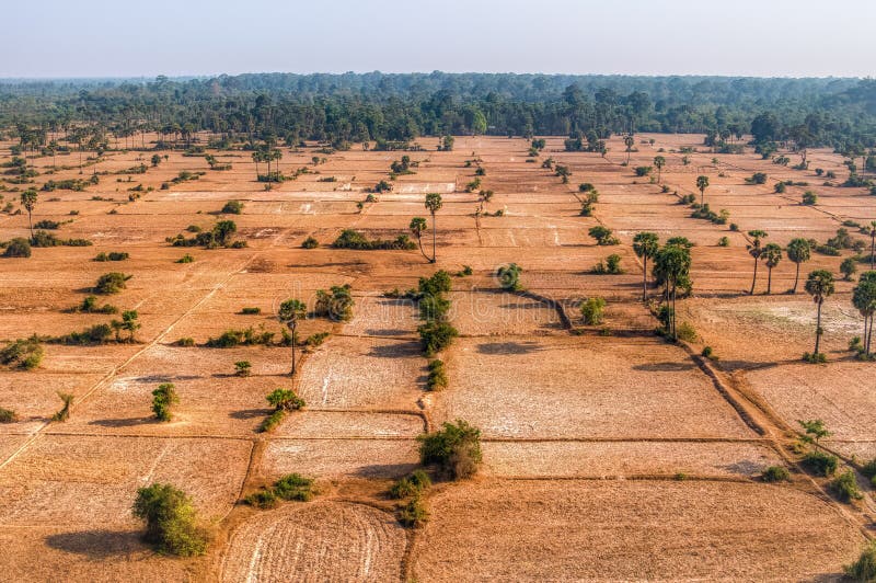 Cambodian Fields from Above Stock Image - Image of bird, siem: 136762799