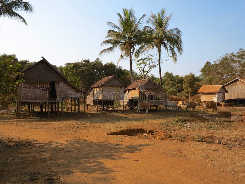Cambodian Traditional Houses Stock Photo - Image of houses, arecales ...