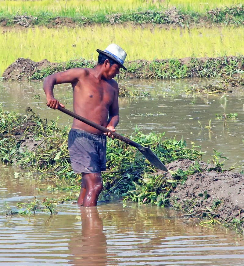 Cambodian Worker editorial stock image. Image of working - 28360919
