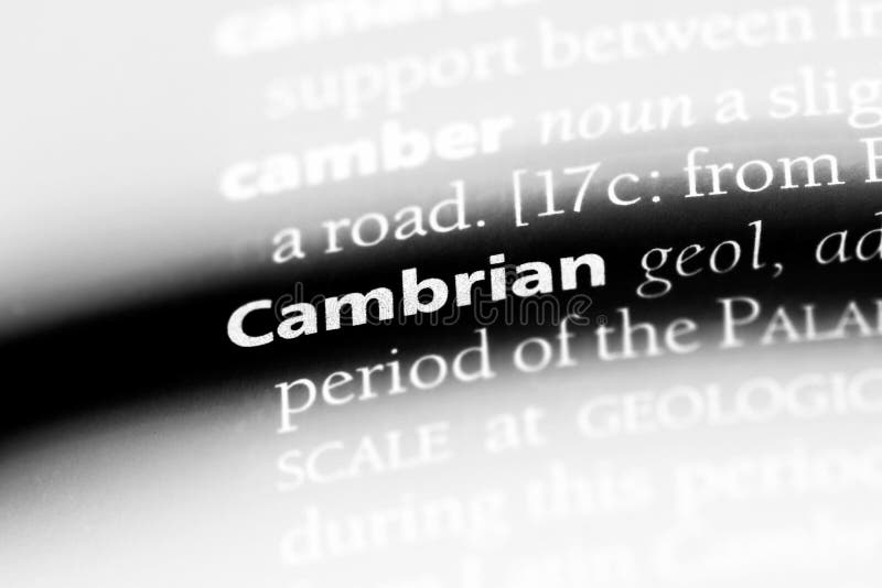 Cambrian stock image. Image of paper, definition, dictionary - 114407837