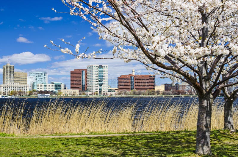 Cambridge, Massachusetts stock image. Image of scenery - 37533305