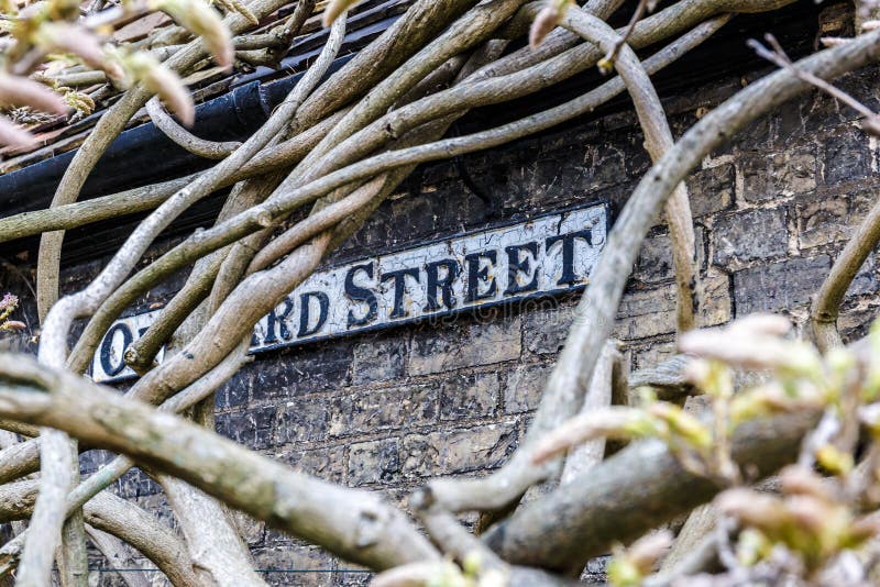 Cambridge in spring stock photo. Image of house, full - 71536258