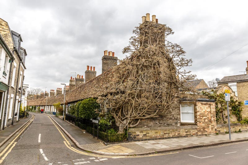 Cambridge in spring stock photo. Image of english, cambridge - 71532096