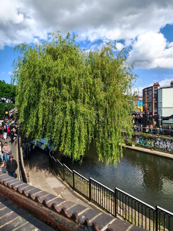 Camden Lock Tree stock image. Image of canal, lock, autumn - 379290731