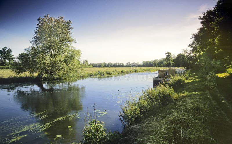 Came do rio foto de stock. Imagem de inglês, britânico - 23077164