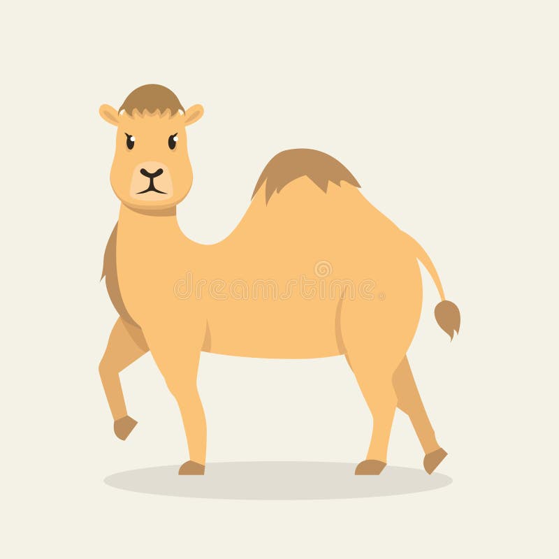 Angry Looking Camel Mascot Design Stock Vector - Illustration of camel ...
