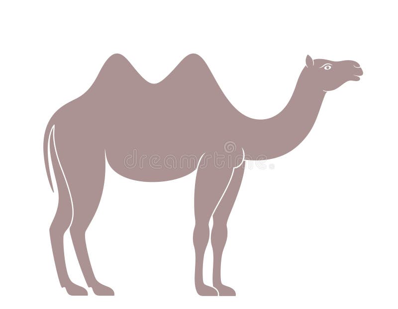 Camel. Abstract Wild Animal Poster. Jungle, Forest. Set of Contemporary ...