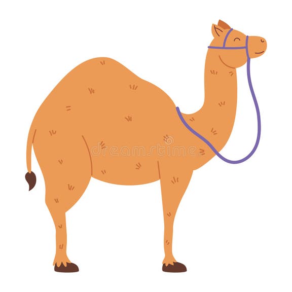 Camel animal design stock vector. Illustration of camel - 297483632