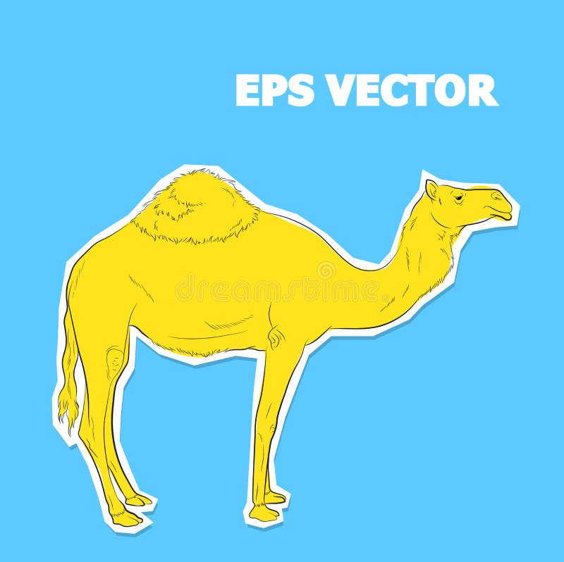 Camel Animal Sticker Vector Stock Vector - Illustration of predator ...