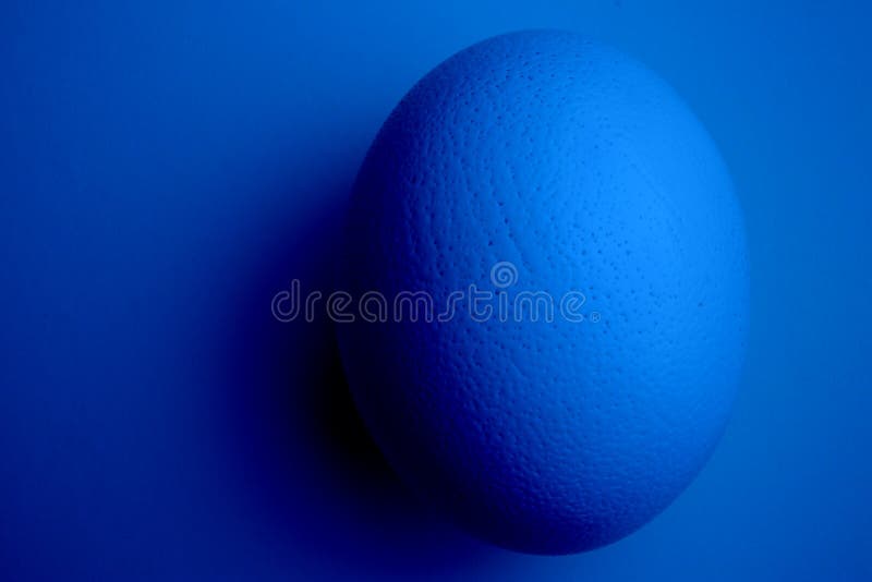 Camel-bird Egg. Classic Blue Color - Trend of 2020 Stock Photo - Image ...