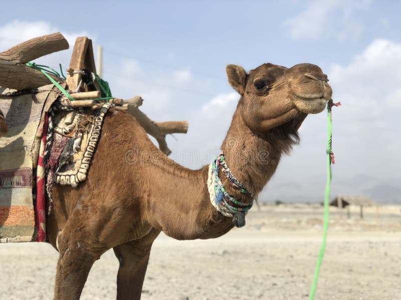 Tea Stall at Railway Station in Quetta, Balochistan Editorial Image ...