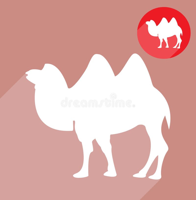 Camel stock vector. Illustration of black, animal, arabic - 295744116